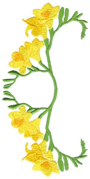 Assorted Borders Sets 1 and 2 Large