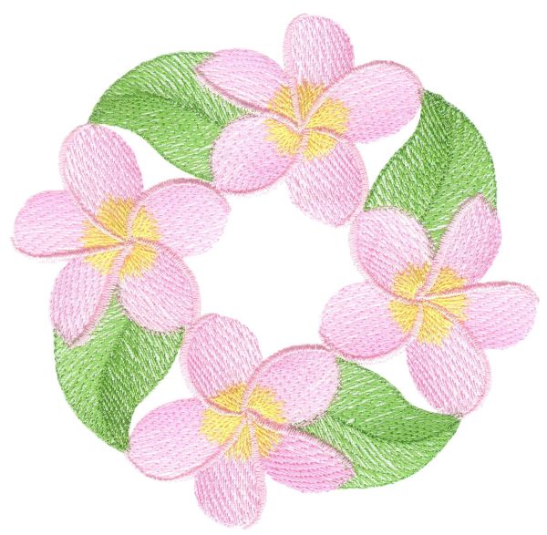 Aljay Lite Variety Set 4 Large