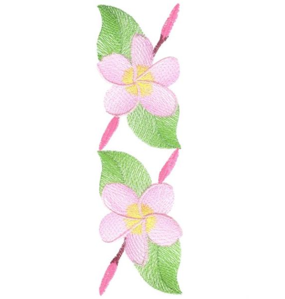 Aljay Lite Variety Set 4 Large