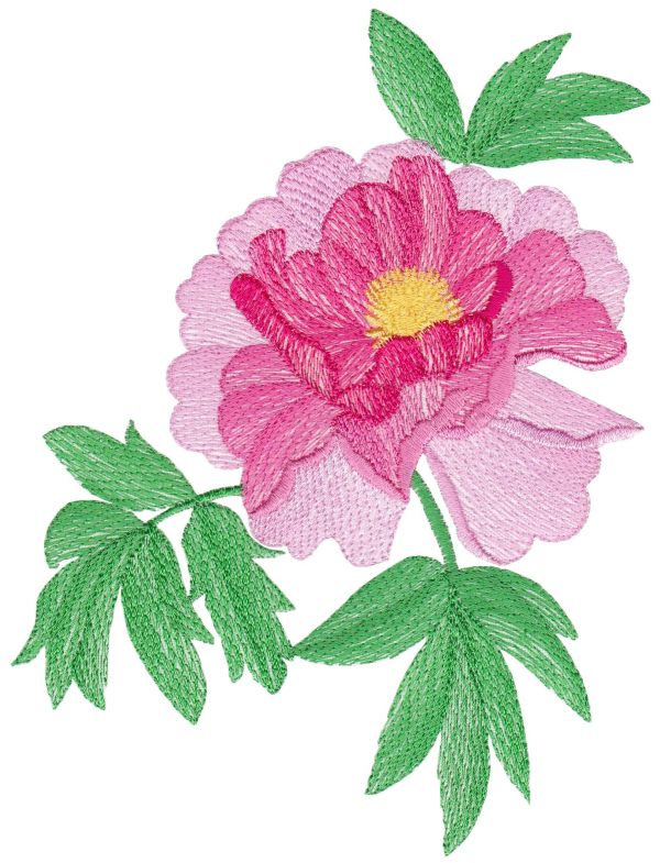 Aljay Variety Pack Set 1 Large