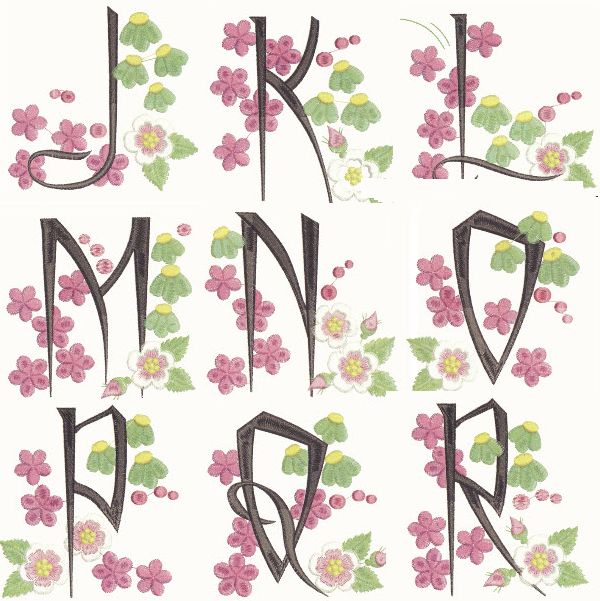 Alphabet Azalea | OregonPatchWorks