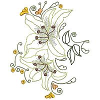 LILY LINES