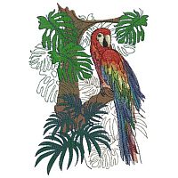 Exotic Parrots | OregonPatchWorks