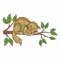 Playful Kittens | OregonPatchWorks