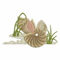Seashells 2 | OregonPatchWorks
