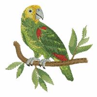 Watercolor Parrots | OregonPatchWorks