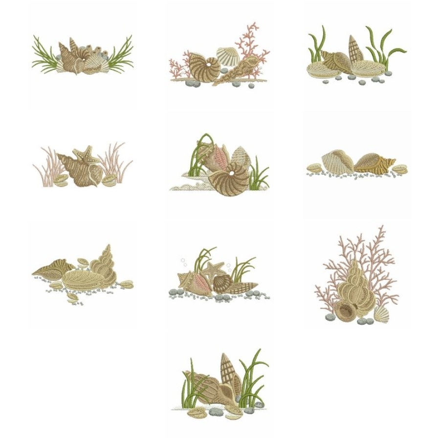 Seashells 2 | OregonPatchWorks