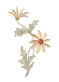 Spring Daisies | OregonPatchWorks