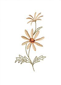 Spring Daisies | OregonPatchWorks