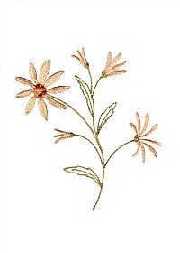 Spring Daisies | OregonPatchWorks