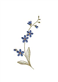 Spring Daisies | OregonPatchWorks