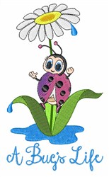 Bugs Singles | OregonPatchWorks