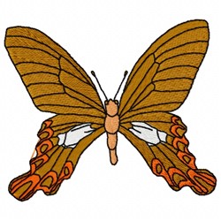 Bugs Singles | OregonPatchWorks