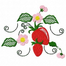 Fresh Strawberries | OregonPatchWorks