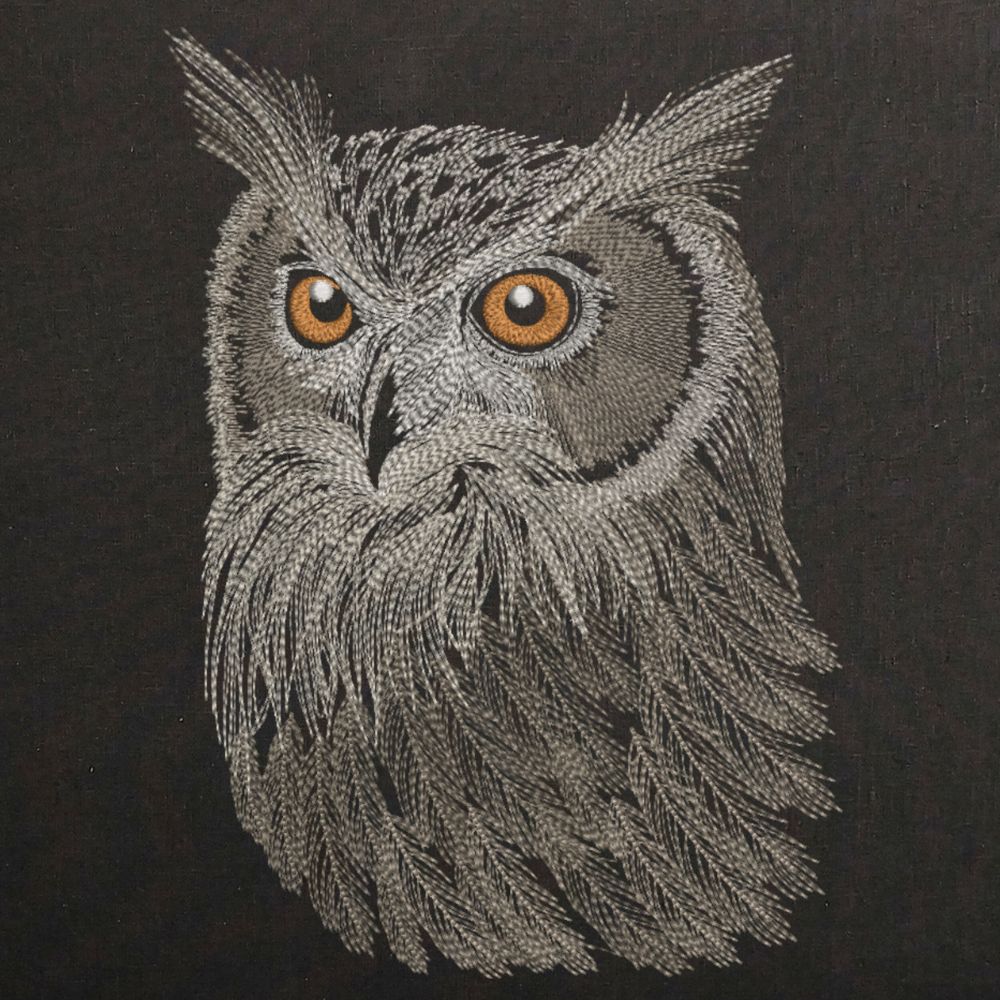 Realistic Owl Face