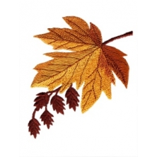 5x7 Fall Collection 2