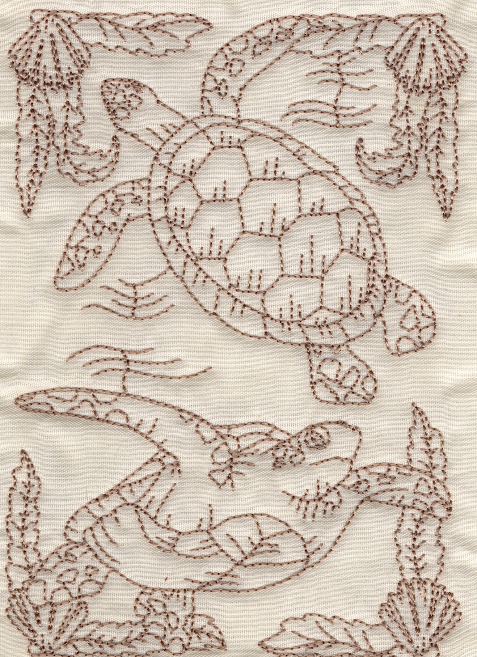 Sea Turtles | OregonPatchWorks