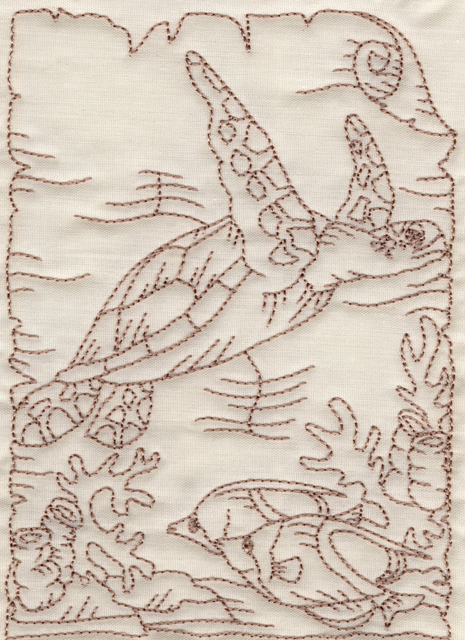 Sea Turtles | OregonPatchWorks