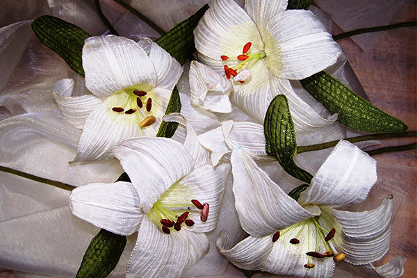 Fabric Saint Joseph Lily
