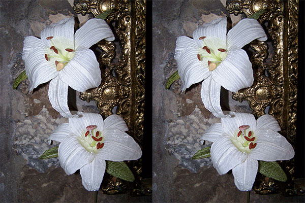 Fabric Saint Joseph Lily