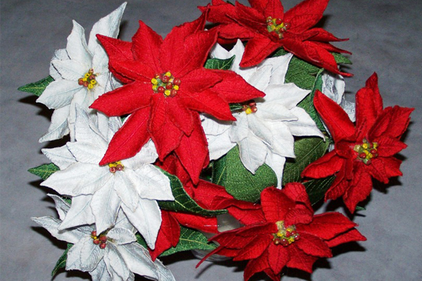 3D Poinsettias | OregonPatchWorks