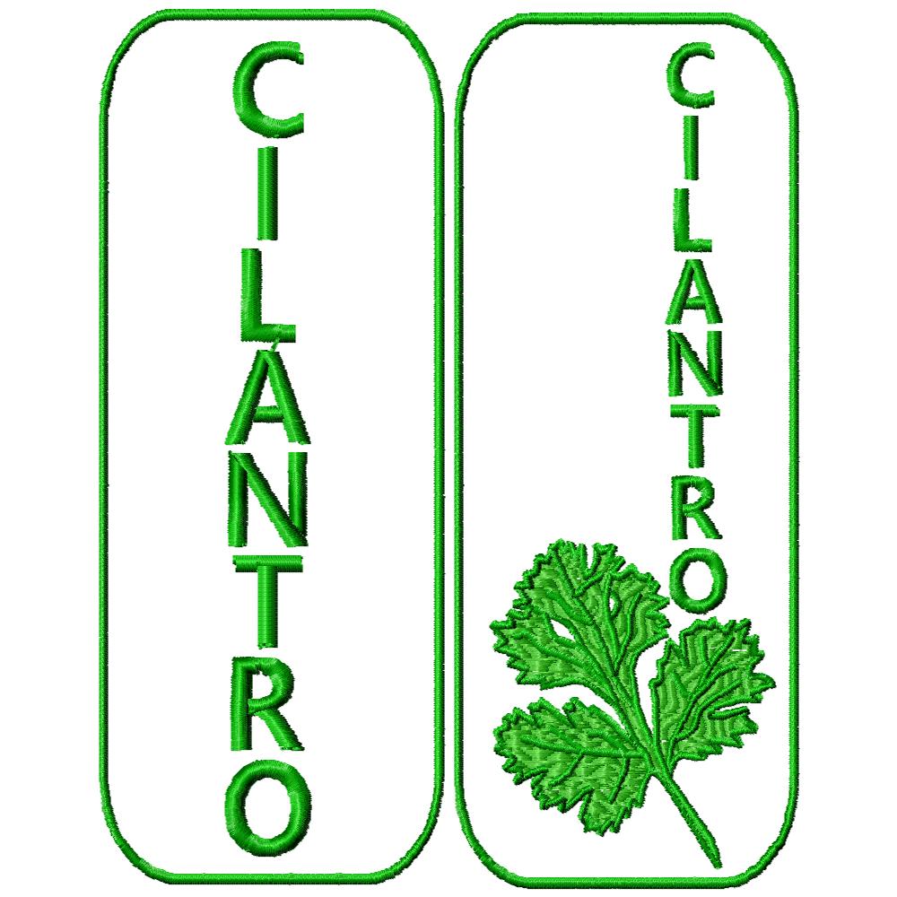 A-Bright-Shiny-Garden