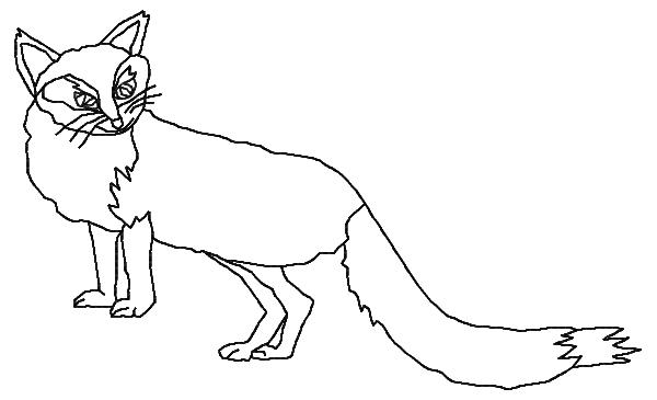 The Little Red Fox BW | OregonPatchWorks