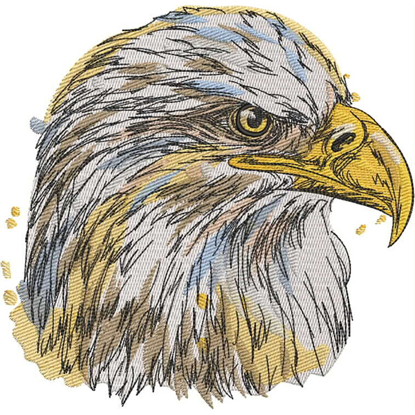 Painted Eagle