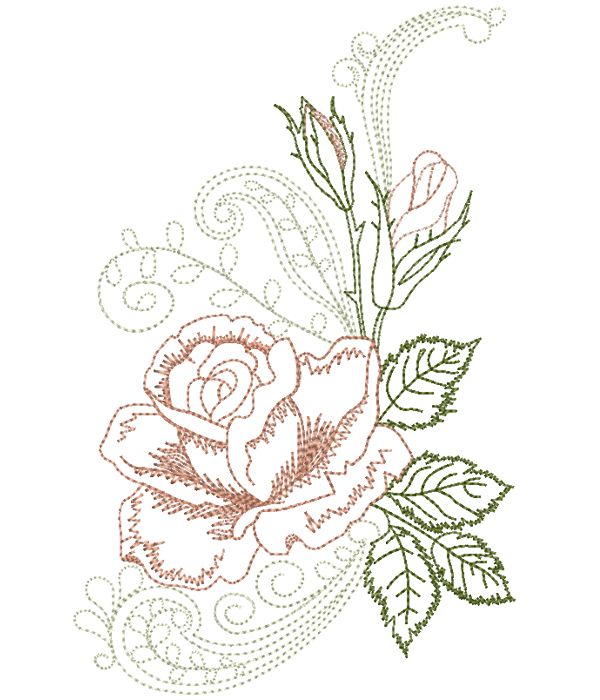 Slit, Sleeves and Roses