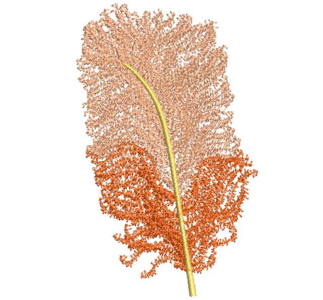 Feathers | OregonPatchWorks