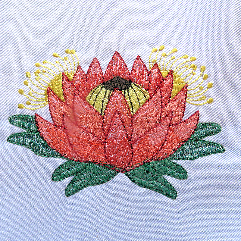 Traditional Proteas Singles | OregonPatchWorks