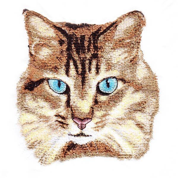 Photo Stitch Cat Singles | OregonPatchWorks