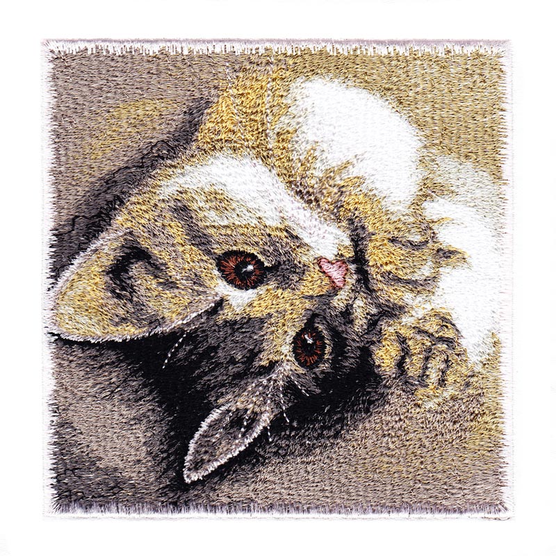 Cats in Photo Stitch Singles | OregonPatchWorks