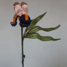 PAMS 3D IRIS COLLECTION | OregonPatchWorks