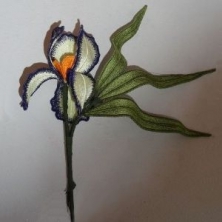 PAMS 3D IRIS COLLECTION | OregonPatchWorks