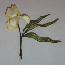 PAMS 3D IRIS COLLECTION | OregonPatchWorks