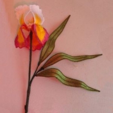 PAMS 3D IRIS COLLECTION | OregonPatchWorks