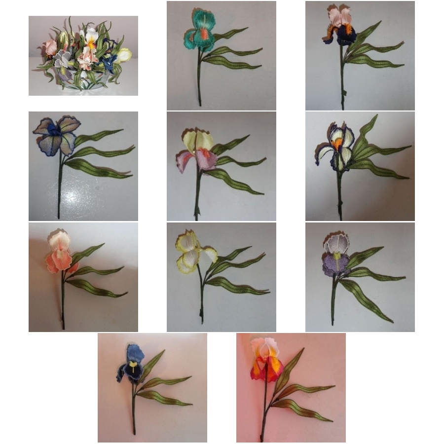 PAMS 3D IRIS COLLECTION | OregonPatchWorks