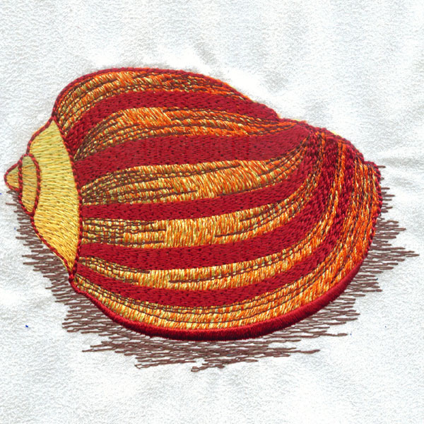 Seashells | OregonPatchWorks