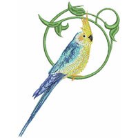 Parrots | OregonPatchWorks