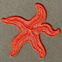 FSL Seashells | OregonPatchWorks