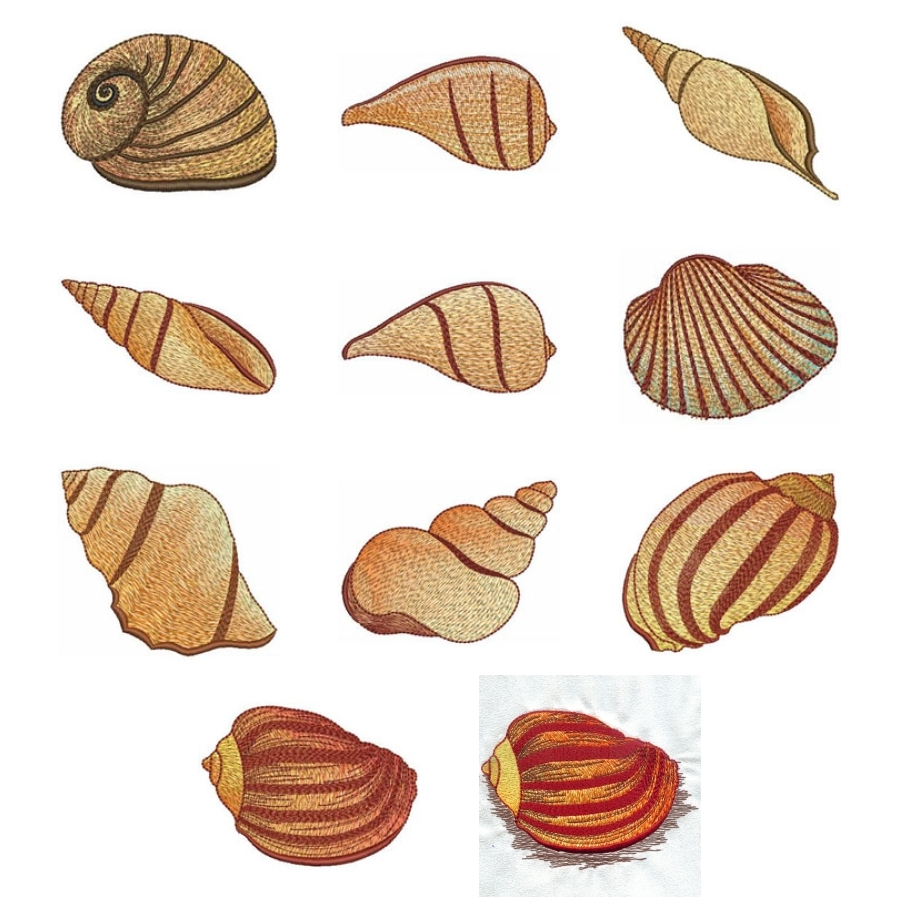 Seashells | OregonPatchWorks
