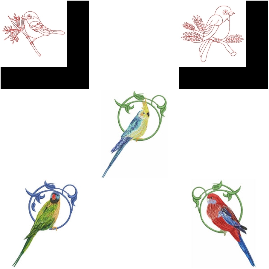 Parrots | OregonPatchWorks