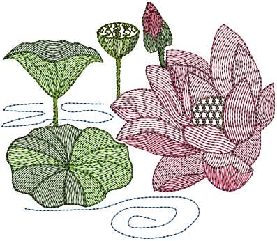 Seed Pods | OregonPatchWorks