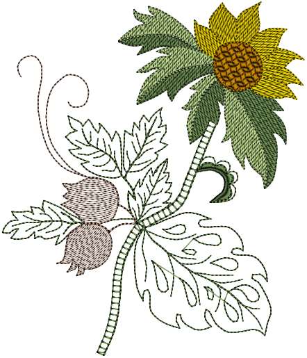 Seed Pods | OregonPatchWorks