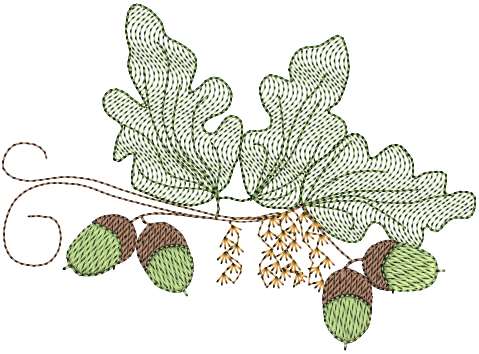 Seed Pods | OregonPatchWorks