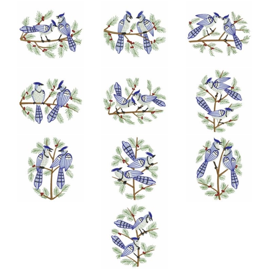 Winter Blue Jay | OregonPatchWorks